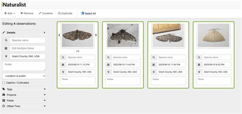 Parsing Species Names Is Failing Bug Reports Inaturalist Community
