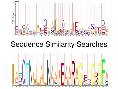 ppt sequence similarity searches powerpoint presentation free