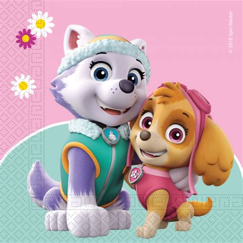 Køb Paw Patrol Skye And Everest Servietter Til Kun 25 På Temashopdk