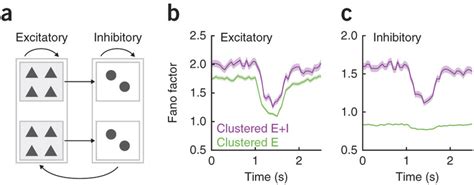Effect Of Stimulation On Inhibitory Neuron Spiking Variability A Download Scientific Diagram