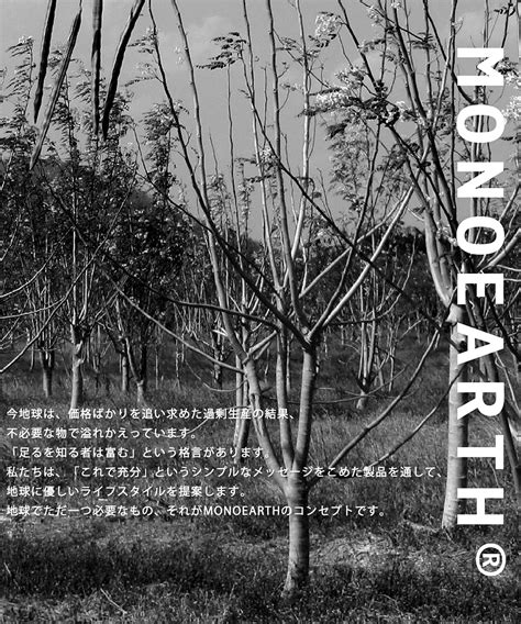 【楽天市場】【最大30％offクーポン 11日959迄】monoearth アロマディフューザー モノアース ルームフレグランス 置き型 リードディフューザー 空間芳香剤 インテリア