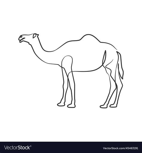 top 999 camel drawing images amazing collection camel drawing images