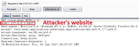 Owasp Cors Vulnerabilities Mitigation And Best Practices