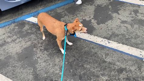 Downdebbie Aliceaemily62120 Before Youtube