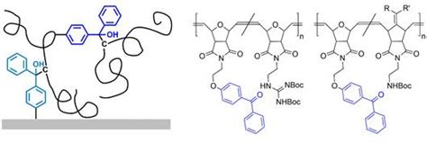 Polymers Free Full Text On The Limits Of Benzophenone As Cross Linker For Surface Attached