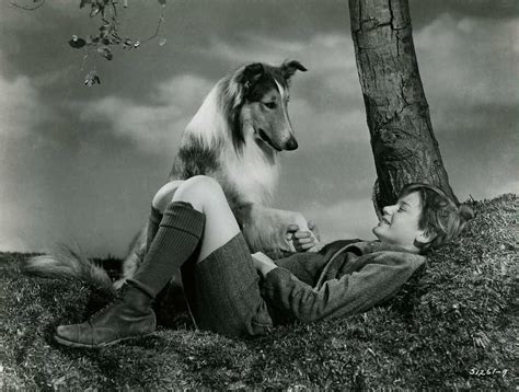 Pal Roddy Mcdowall
