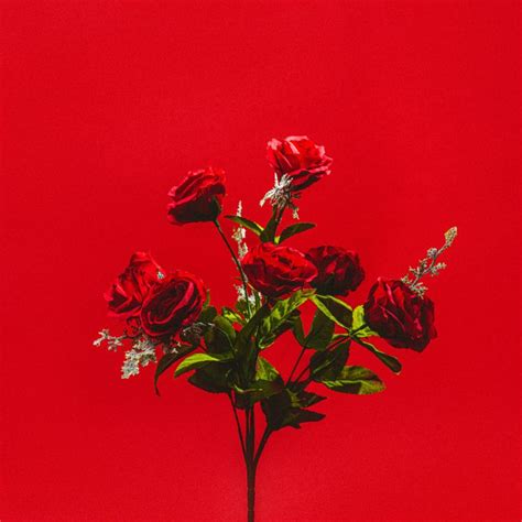 Robert Divney On Linkedin Finally Another Brilliant New Song From The