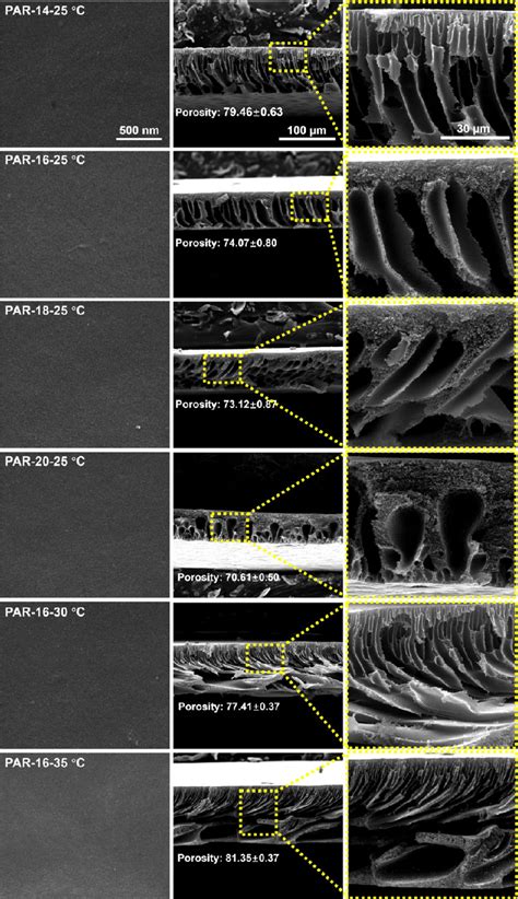 Surface And Cross Sectional Morphologies Of Various Par Membranes