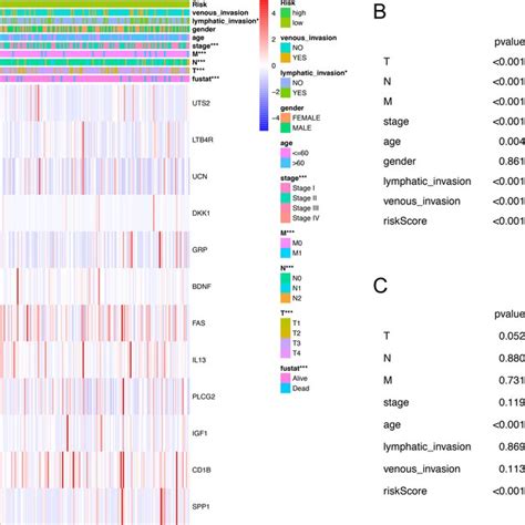 Correlation Between Clinical Phenotypes And Expression Levels Of Genes