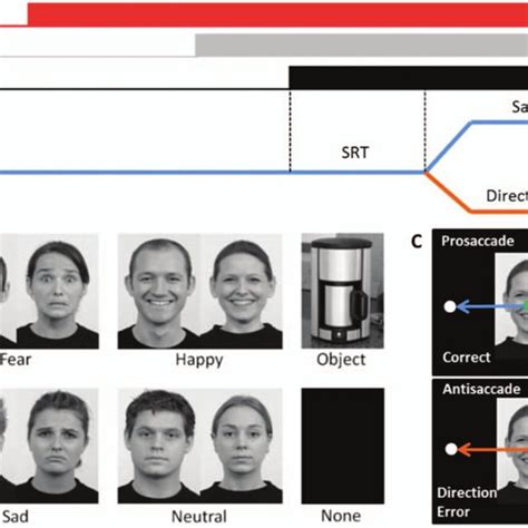 A Visual Representation Over Time Of The Experimental Paradigm Each
