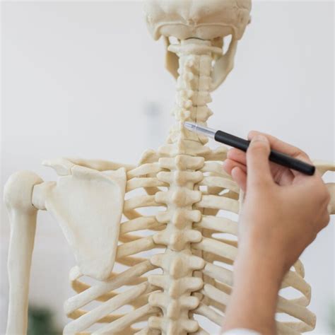 Pars Defect A Neurosurgical Overview