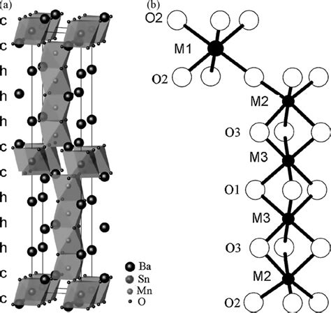 Schematic Representations Of A The Structure And B The Polyhedra