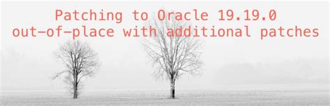 Patching To Oracle 19190 Out Of Place With Additional Patches