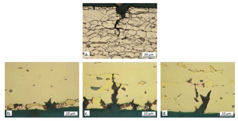 Corrosion Behavior And Susceptibility To Stress Corrosion Cracking Of
