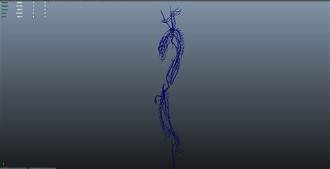 Lymph Nodes 3d Model Turbosquid 1218011