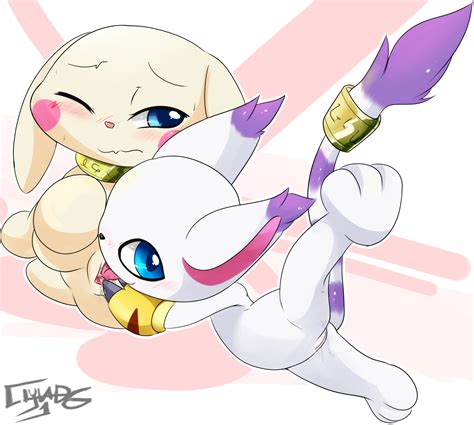 Post 2039908 Bunnybits Digimon Digimon Adventure Gatomon Salamon Post 2039908 Bunnybits Digimon Digimon Adventure Gatomon Salamon