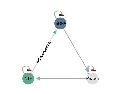 Mathematical Biology Github Topics Github