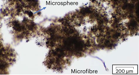 Targeting Nanoplastic And Microplastic In Wastewater Presented By