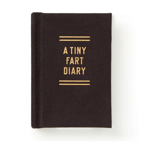 A Tiny Fart Diary Maggie Maes Bookshop