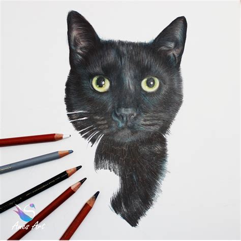 Black Cat Pencil Drawings