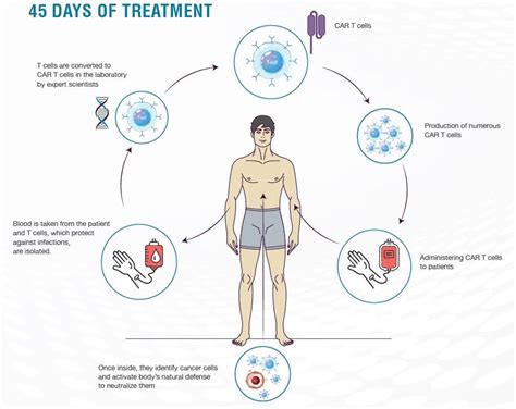 Car T Cell Therapy Types Procedure Cost In India Indications