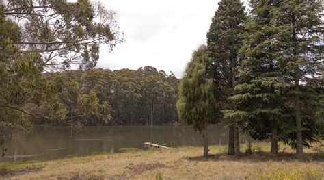 Bhembe Cottage Dullstroom Country Cottages
