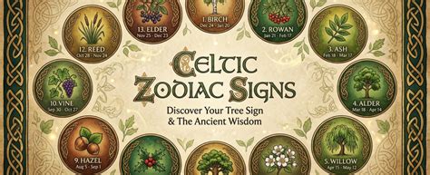 Celtic Zodiac Signs And Meanings All 13 Tree Signs And Dates