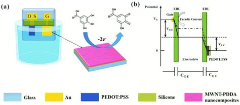 A The Schematic Diagram Of An Oect Based Ga Sensor D S And G Download Scientific Diagram