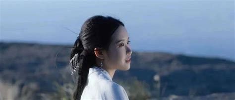 陈姝棠甲辰年度诗词集落花风月沧波