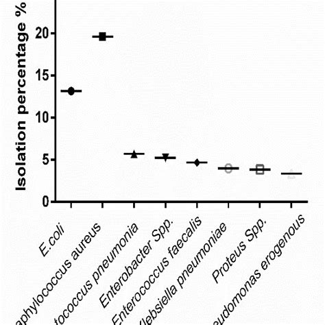 Isolation Percentage Of Eight Bacterial Isolates From The Patient In