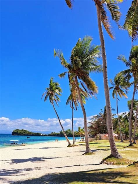 Best Beaches In Cebu Philippines 🇵🇭 Cebu Island Paradise