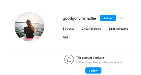 Mollie Messuri Arrest Naples Fraud Files Blog