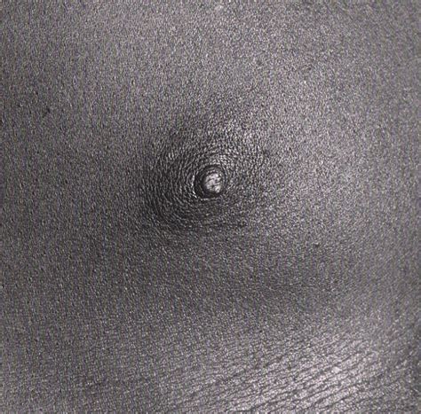 At Auction Robert Mapplethorpe Robertmapplethorpe Nipple 1988
