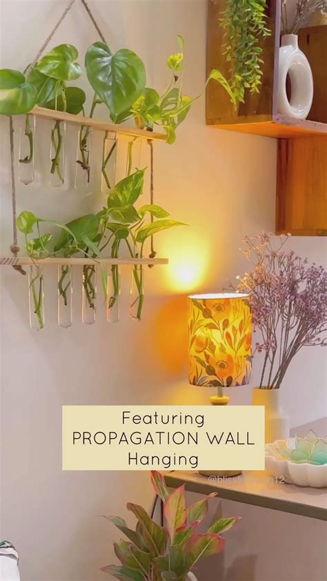 Glass Planter Ecofynd