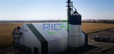 Factory Offer 3 5th Organic Fertilizer Pellet Mill Richi Machinery