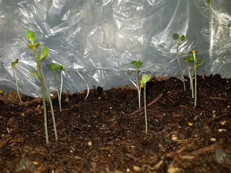 Épinglé Par Kalin Aaron Sur Kalin Aaron