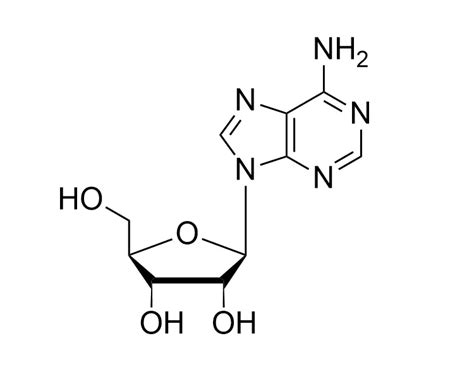 Adenosine Cas 58 61 7 Adenosine C10h13n5o4 For Dnarna Modifications