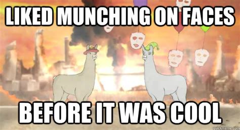 Llamas With Hats Faces Memes Quickmeme