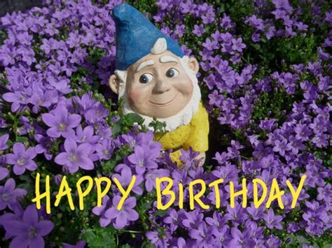 Happy Birthday Meme Purple Flowers Best Flower Site