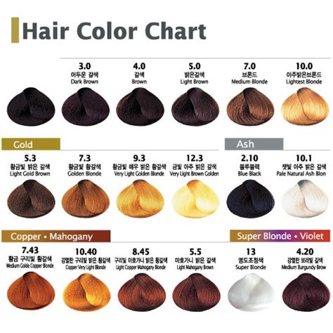 Ion Liquid Permanent Hair Color Chart Warehouse Of Ideas