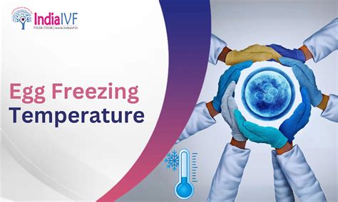Egg Freezing Temperature Optimal Conditions For Egg Preservation India Ivf Fertility