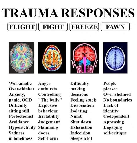 Trauma Responses Artofit