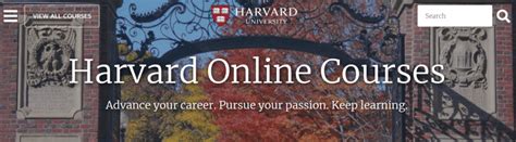 19 Best Sites To Learn Online Courses For Free Earn Beyond Borders