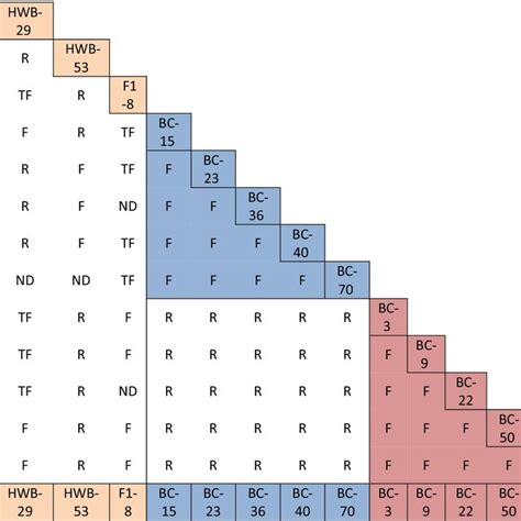 Allorecognition Phenotypes Of Fusibility Groups Two Fusibility Groups