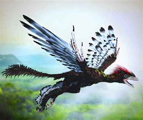 三件珍贵标本开箱！中国恐龙大展5月26日在沪开幕，明星标本汇聚一堂