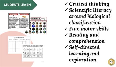Invertebrates Classification Chart Invertebrates Chart Ppt