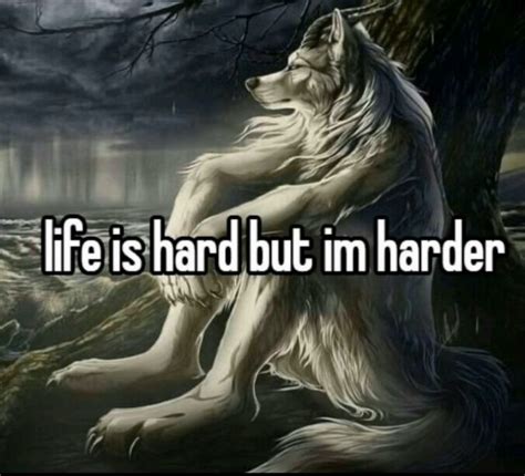 Wolf Pictures Beautiful Aesthetic Wolf Pictures Beta Vs Alpha Alpha