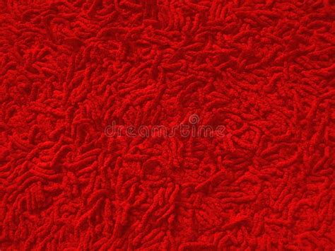 Clustered Bacteria Stock Image Image Of Alien Darrenw 4699125