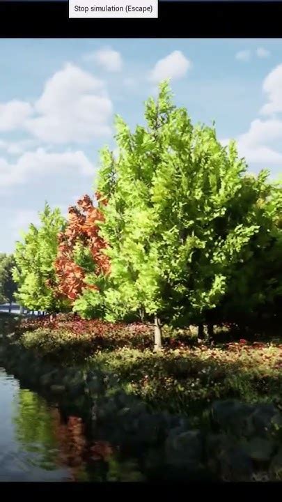 Cgi Tree Growth Animation In Unreal Engine 5 Cgi Ue5 Speedtree