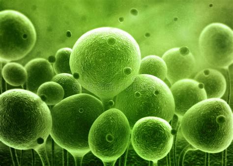 Bacteria Sem Concept Stock Illustration Illustration Of Bacteria 39453037